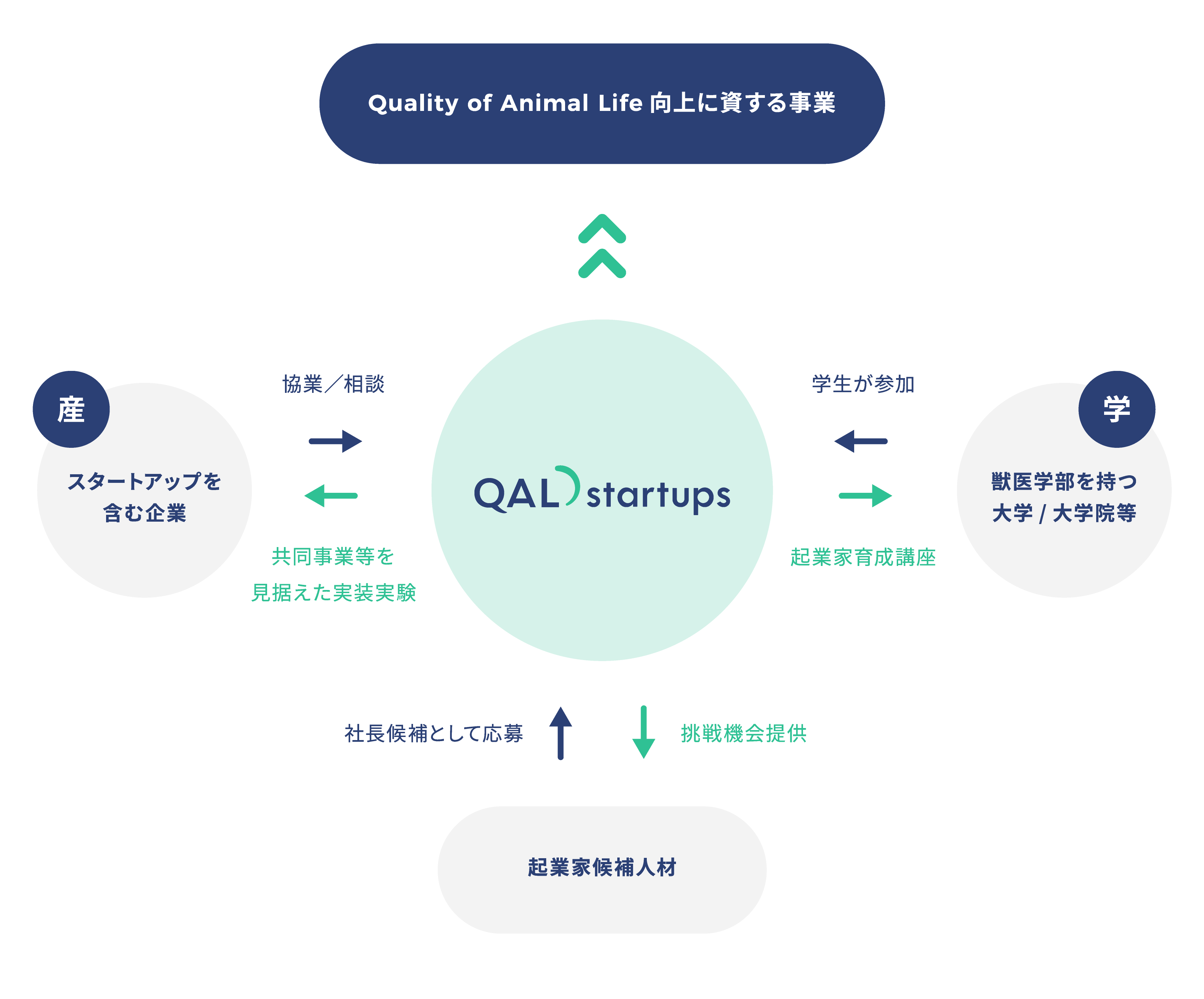 quantum | QAL startups